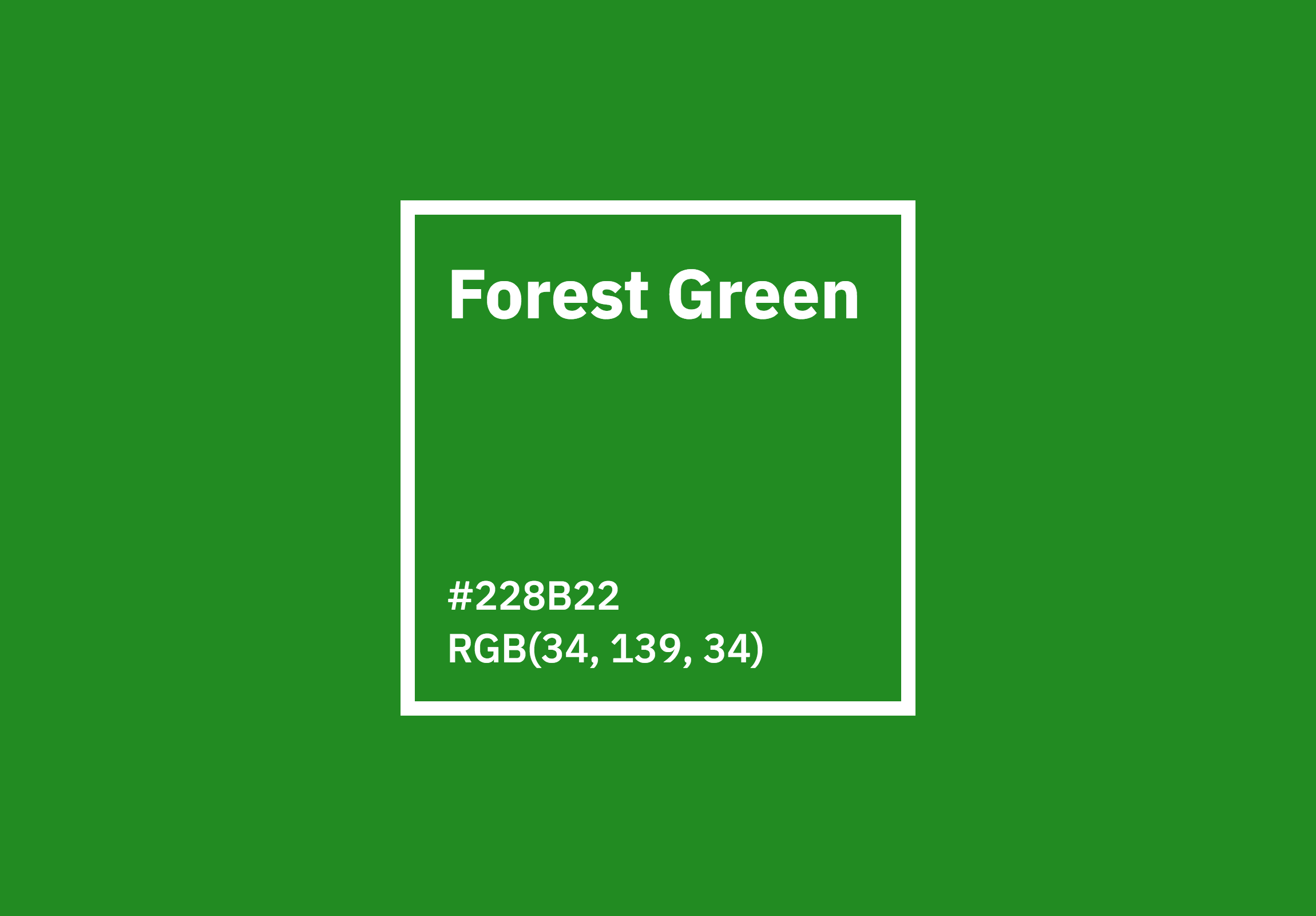 Forest Green Color Hex RGB CMYK Pantone Color Codes U S Brand